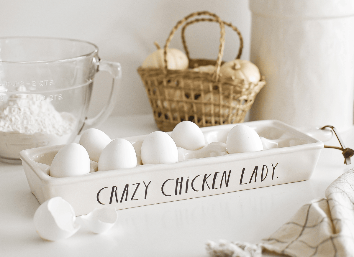 Decorative food storage containers – MAGENTA Retail